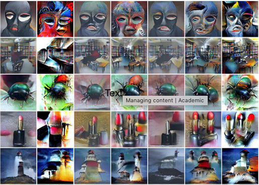 Generating Class Conditional Images With Gradient Based Inference