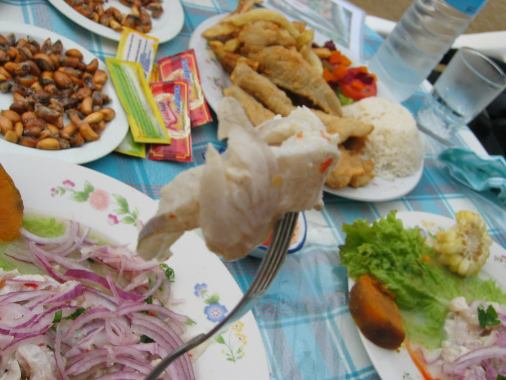 Pictures from Steve's Trip to Peru